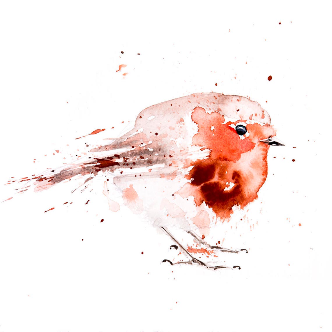 Robin Painting 3 Fat Robin Red Breasts Hand Signed Limited - Etsy