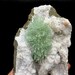 Natrolite Green on MM Quartz Super Rare Natural Mineral Specimen ...