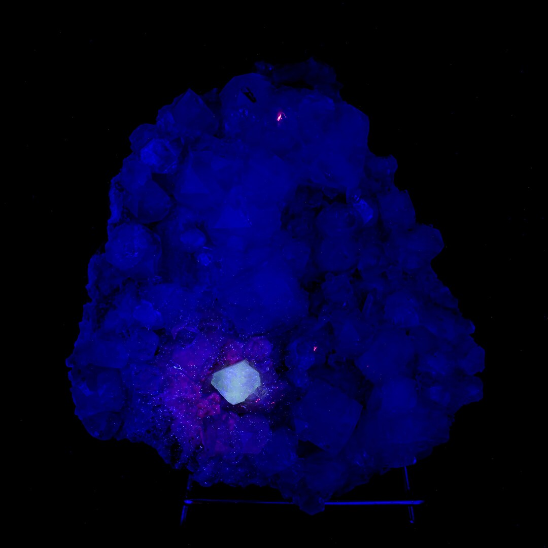 Powellite Fluorescent on Apophyllite Natural Mineral Specimen # B 6332 ...