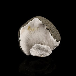 Scolecite Spray Inside MM Quartz Geode Natural Mineral Specimen # B ...