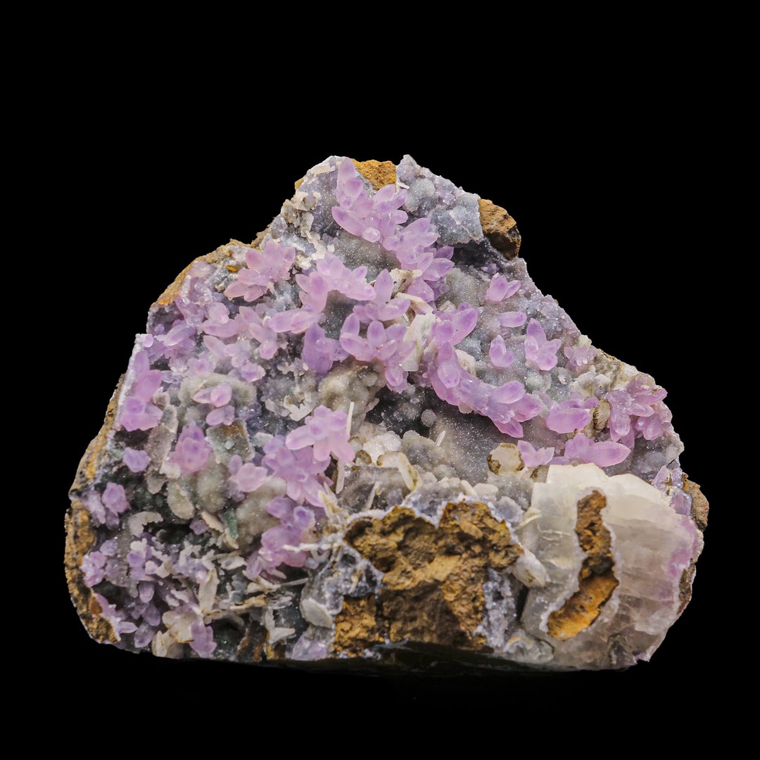 Rare Dogtoth Amethyst Natural Mineral Specimen # B 6874 - Etsy