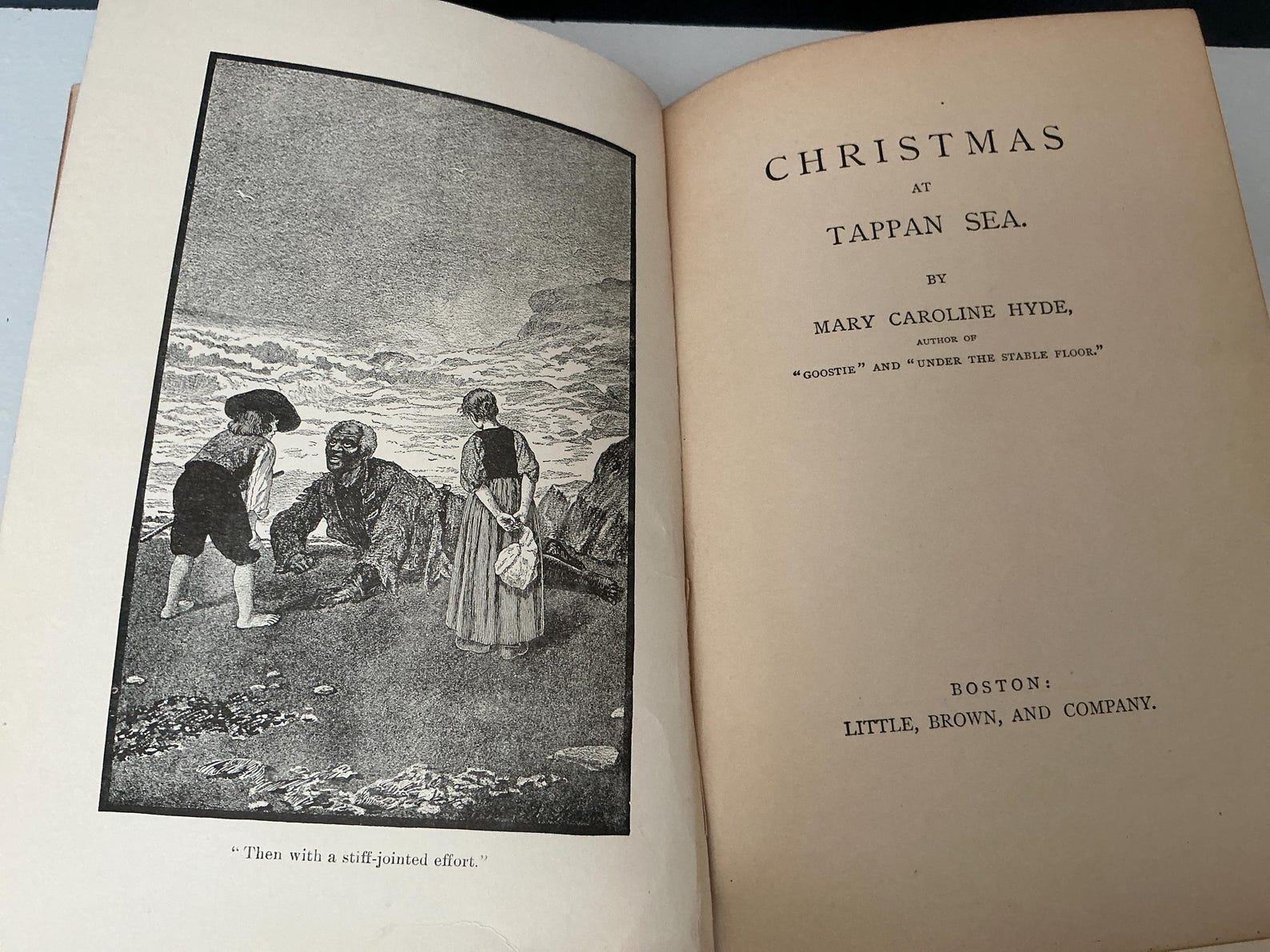 Vintage Christmas Book From 1899. Christmas at Tappan Sea by Mary ...
