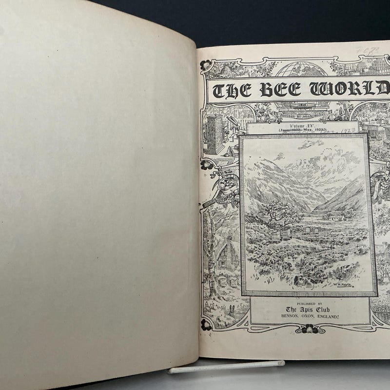 Antique Book Bees - Etsy