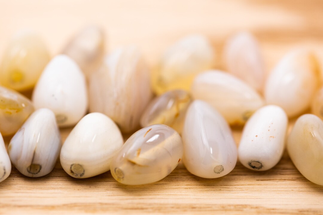 21 Count 12mm to 22mm Vintage White Ivory Cream Colored Jasper Agate ...
