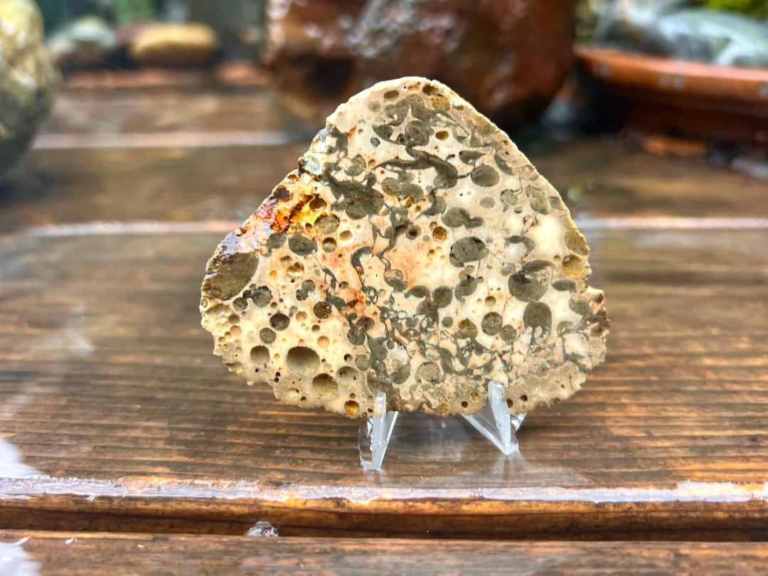 Bubbly Rhyolite Slab: Lapidary Stone, Oregon Material (2.5x2.25 Inches ...