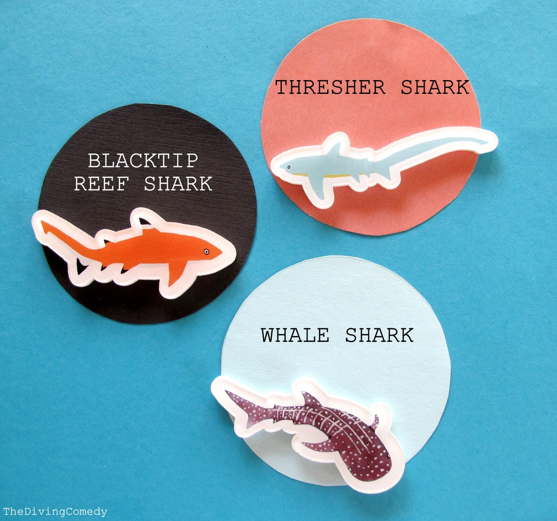 Shark Pin Shark Magnet Shark Brooch Whale Shark Thresher - Etsy