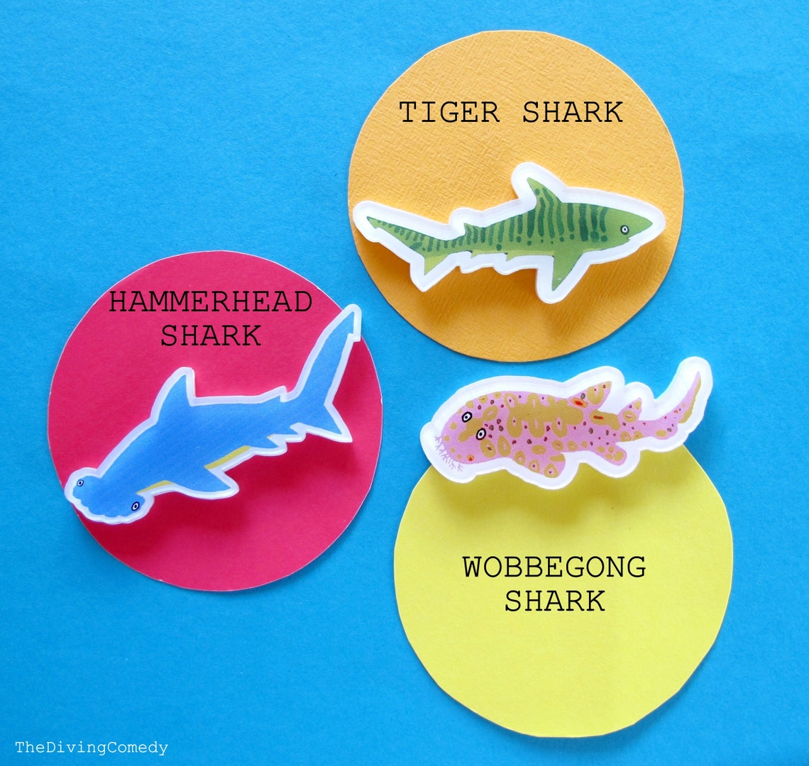 Shark Pin Shark Magnet Shark Brooch Whale Shark Thresher - Etsy