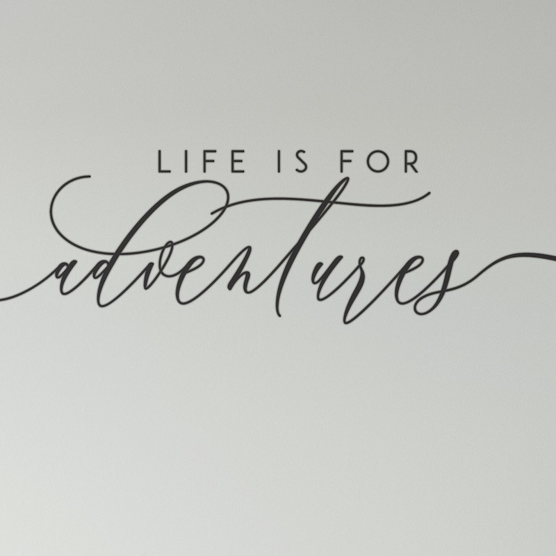 Life Vinyl Decal - Etsy