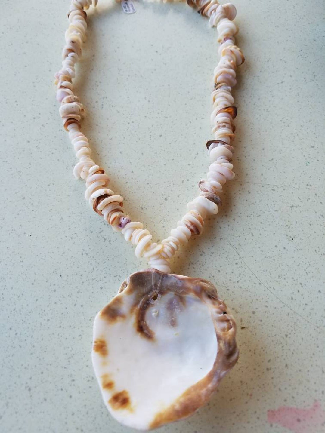Hawaiian Seashell Necklace With Clam Shell Pendant.all Seashells Found ...