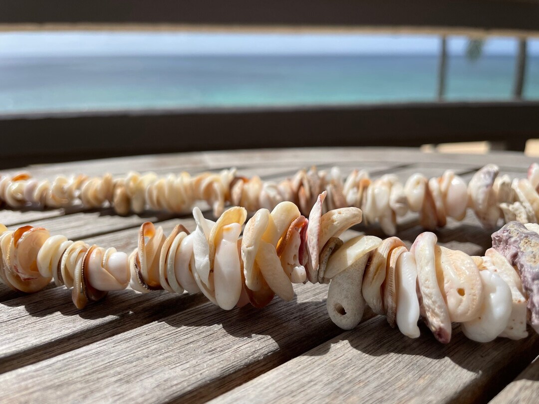 Real Hawaiian Seashell Lei. Beautiful Pieces of Seashells Picked Along ...