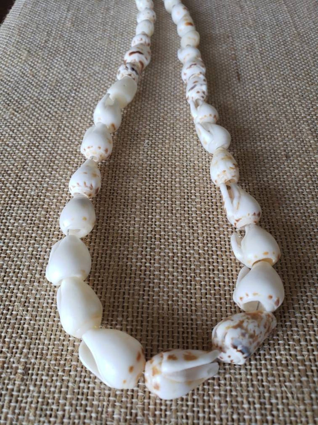 Real Hawaiian Seashell Necklace Handmade on North Shore Oahu Hawaii - Etsy