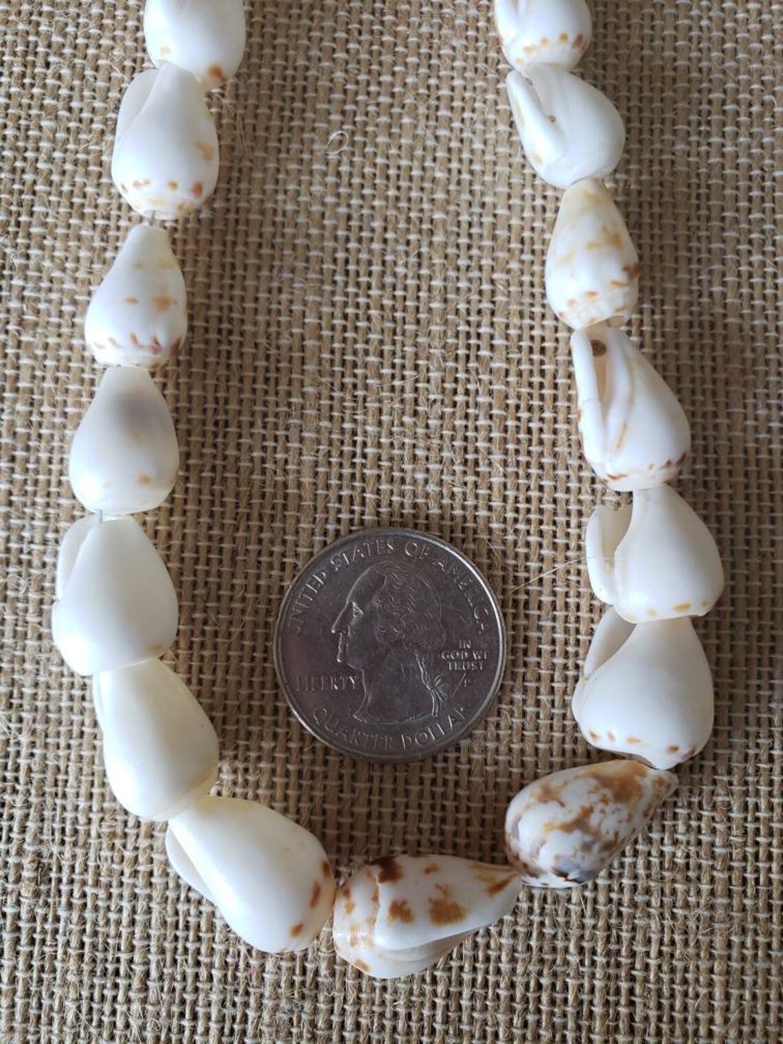 Real Hawaiian Seashell Necklace Handmade on North Shore Oahu - Etsy