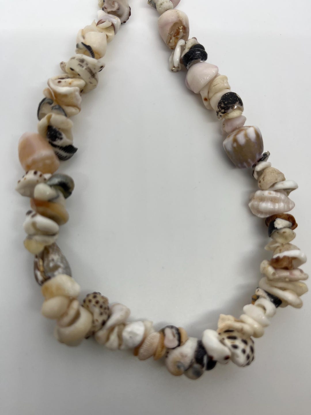 Hawaiian Seashell Necklace. Mixed Variety Real Hawaiian Seashells.18 ...