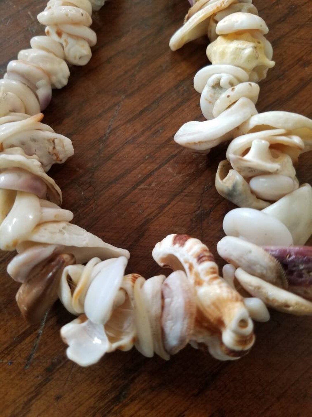 Hawaiian Seashells Necklace,seashell Necklace,puka Shell Necklace ...