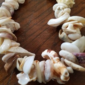 Hawaiian Seashells Necklace,seashell Necklace,puka Shell Necklace ...