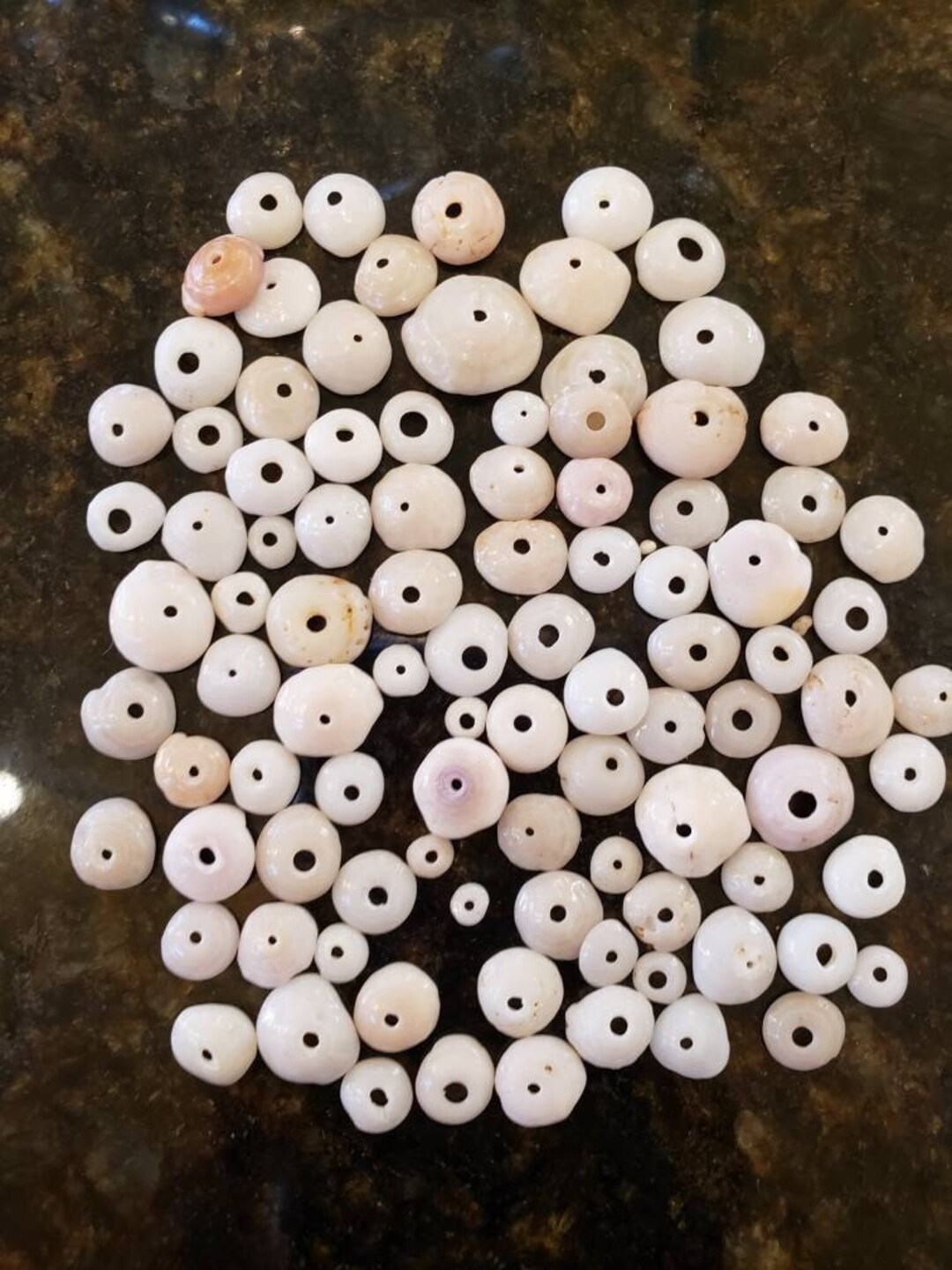 100 Hawaiian Puka Shells With Holes • Bulk Craft & Jewelry Supply • Seashell Beads for DIY ...