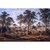 Elioth Gruner, Spring Frost, 1919 Art Print Canvas Print Fine Art ...