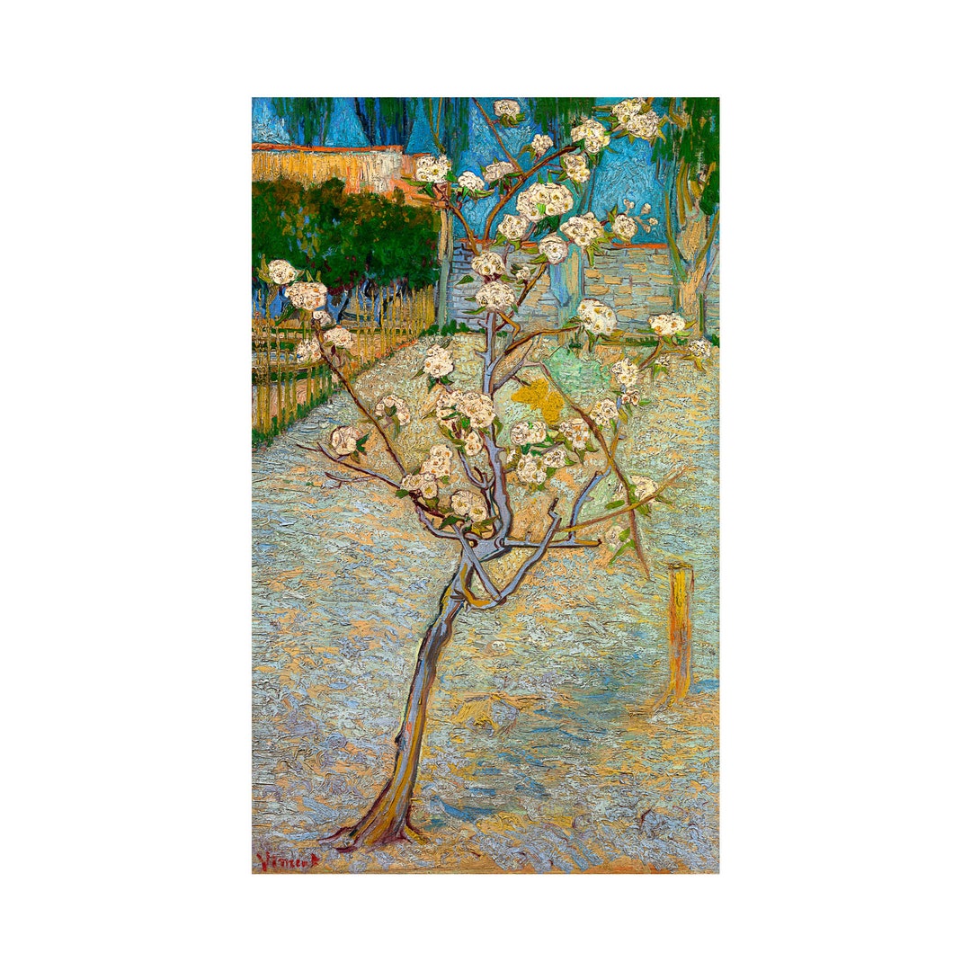 Van Gogh, Small Pear Tree in Blossom, 1888 | Art Print | Canvas Print ...