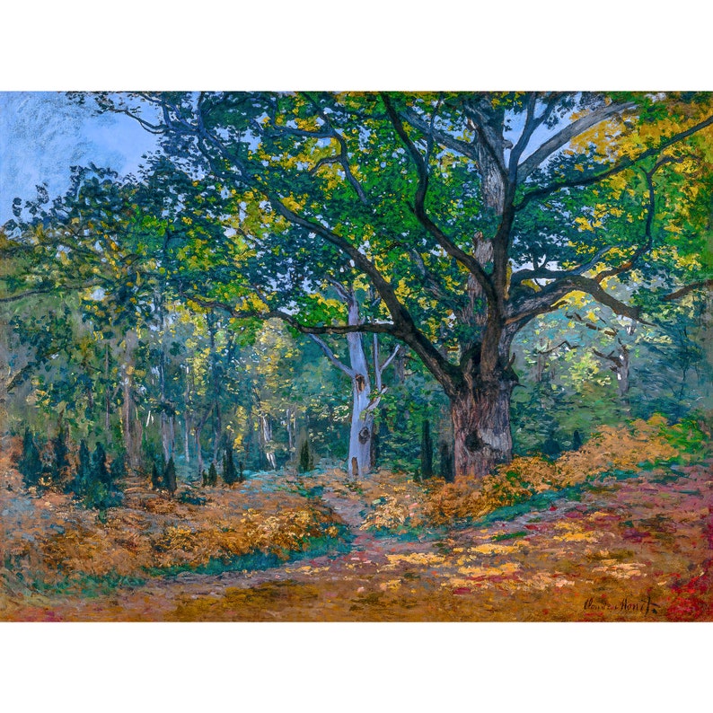 Claude Monet, the Bodmer Oak, Fontainebleau Forest, 1865 | Art Print ...