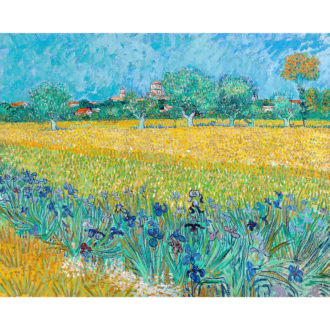 Van Gogh, View of Arles With Irises, 1888 | Art Print | Canvas Print ...