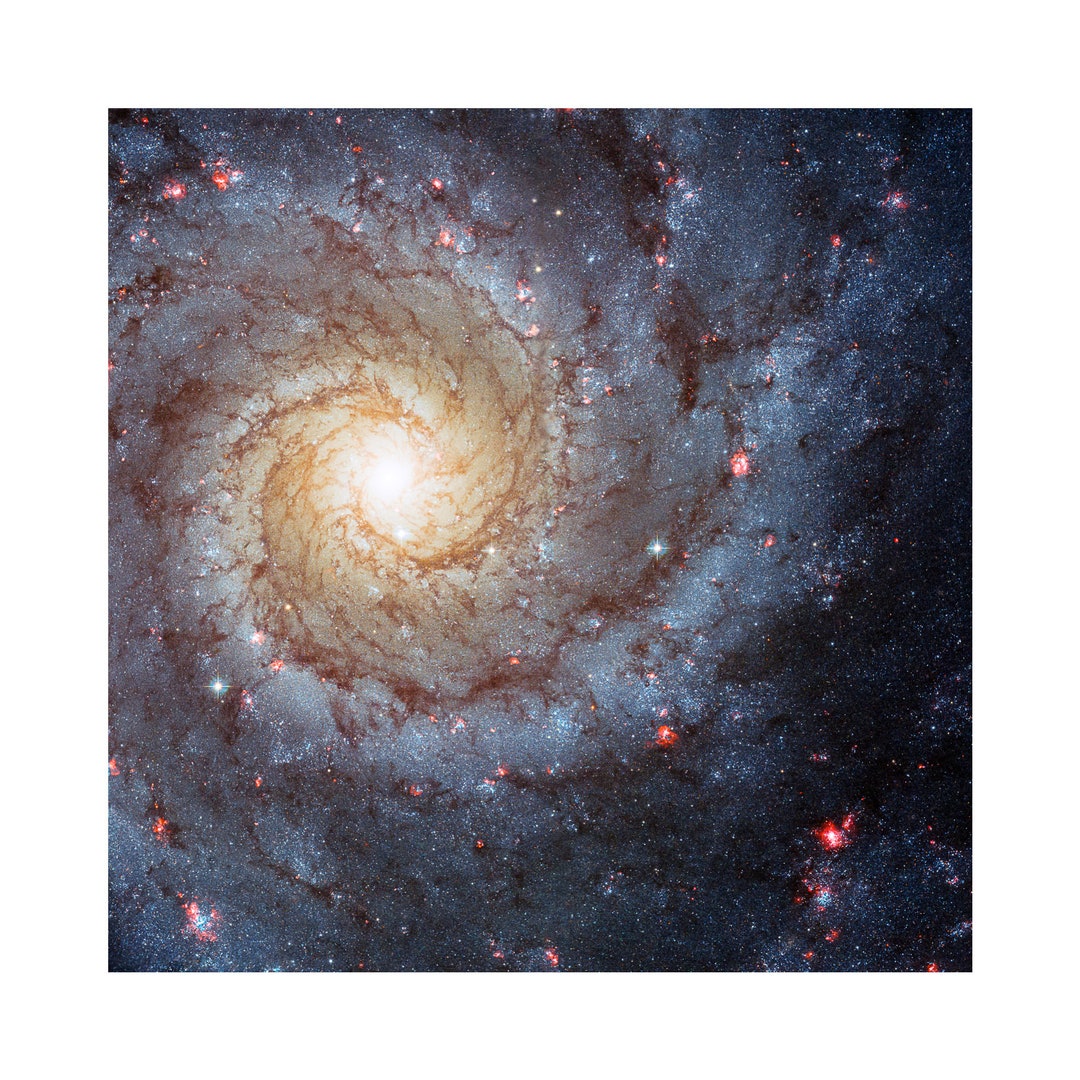 Spiral Galaxy in Pisces, NASA Space Art | Art Print | Canvas Print ...