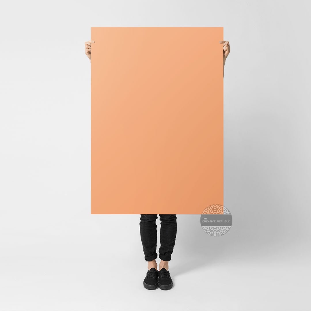 Terracotta | Photography Backgrounds | Photography Backdrops | Flatlay ...