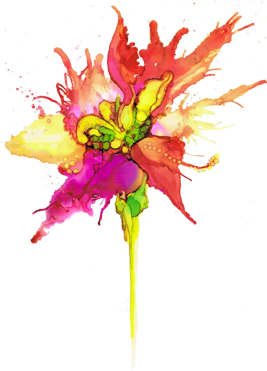 Fire Lily 3. Print of Original Ink Painting - Etsy