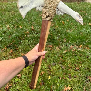 14" Bone Axe With Dual Color Black Walnut Handle (cosplay/pagan/wiccan ...