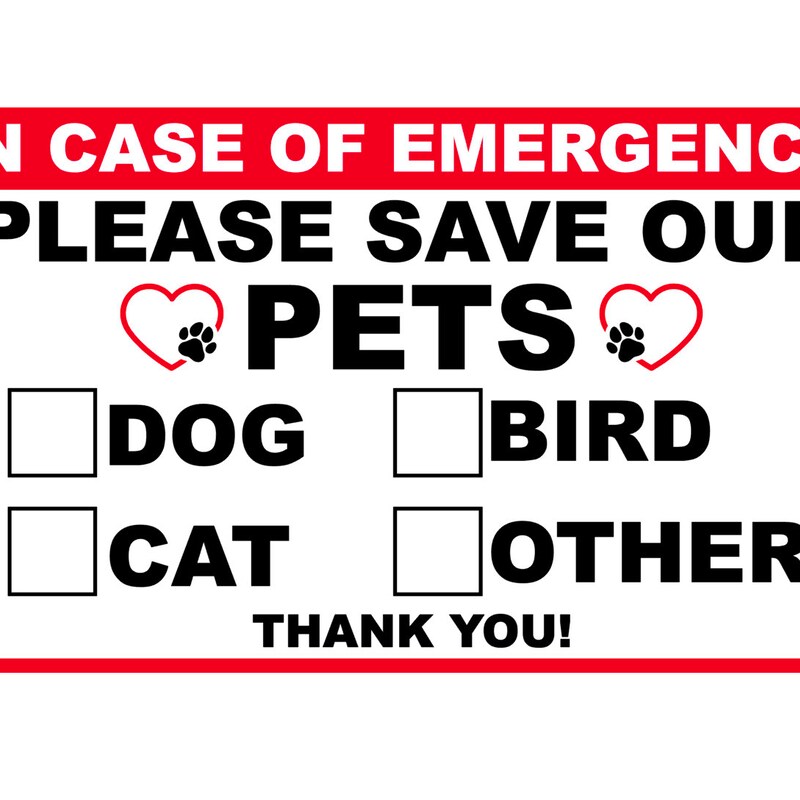 Pet Inside Sticker - Etsy