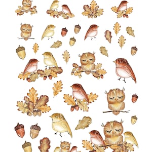 Fall Birds Printable Stickers/erin Condren/happy Planner/filofax ...