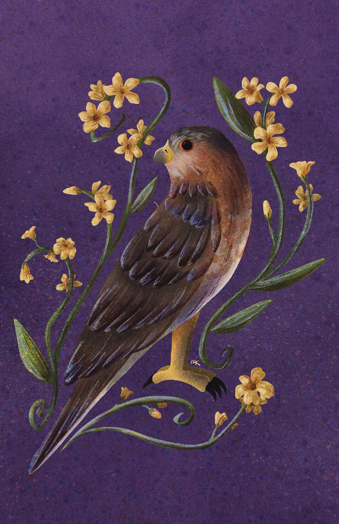 Sharp-shinned Hawk Print - Etsy