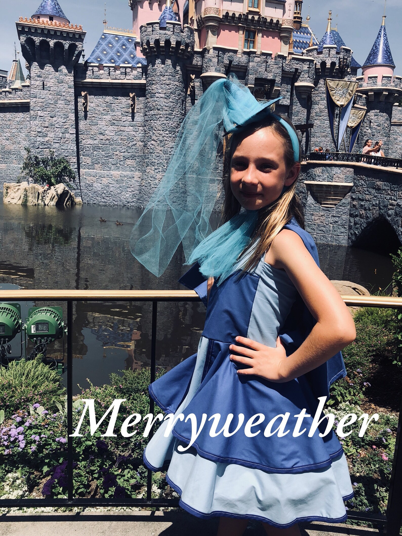 Sleeping Beauty Fairy Dress-flora, Fauna and Merryweather - Etsy