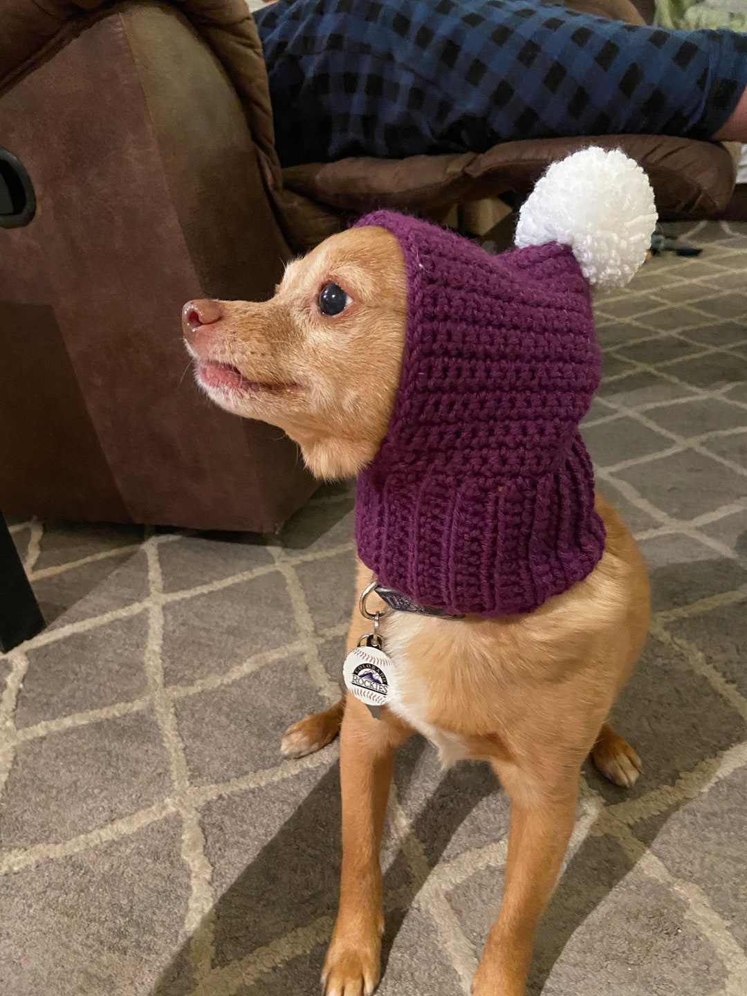 Dog Snood - Etsy