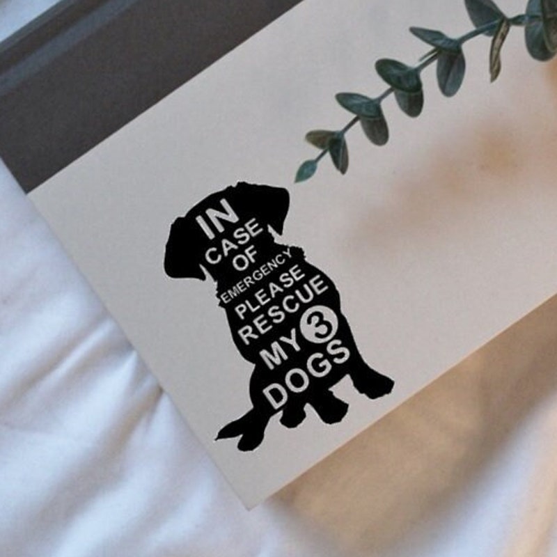 Pet Inside Sticker - Etsy