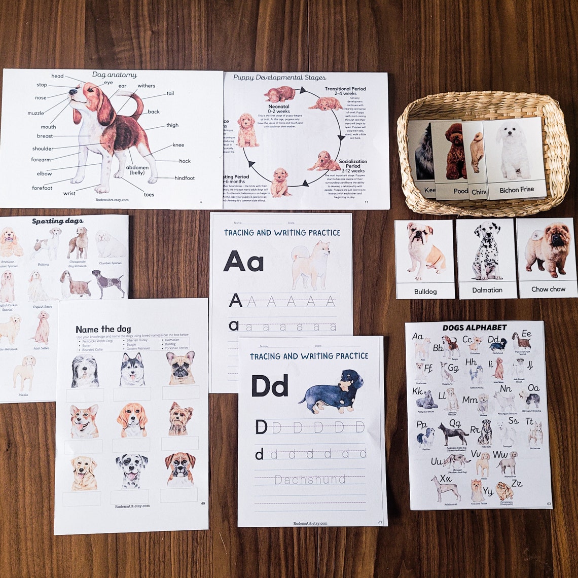 Dogs Unit Study Dog Anatomy and Dog Breeds Three-part Cards - Etsy