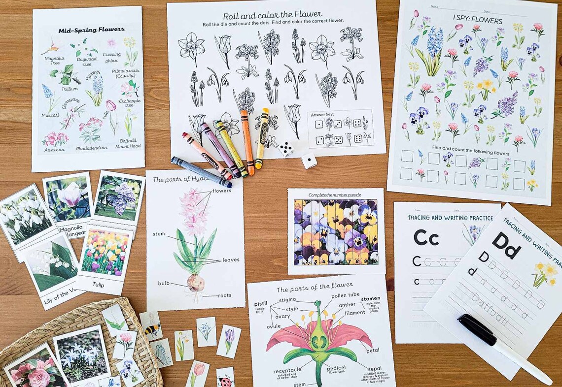 Spring Flowers Learning Pack Spring Flowers Flashcards | Etsy