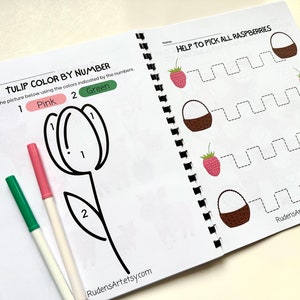 Toddler Busy Book for Learning Colors, Toddler Curriculum, Kids ...