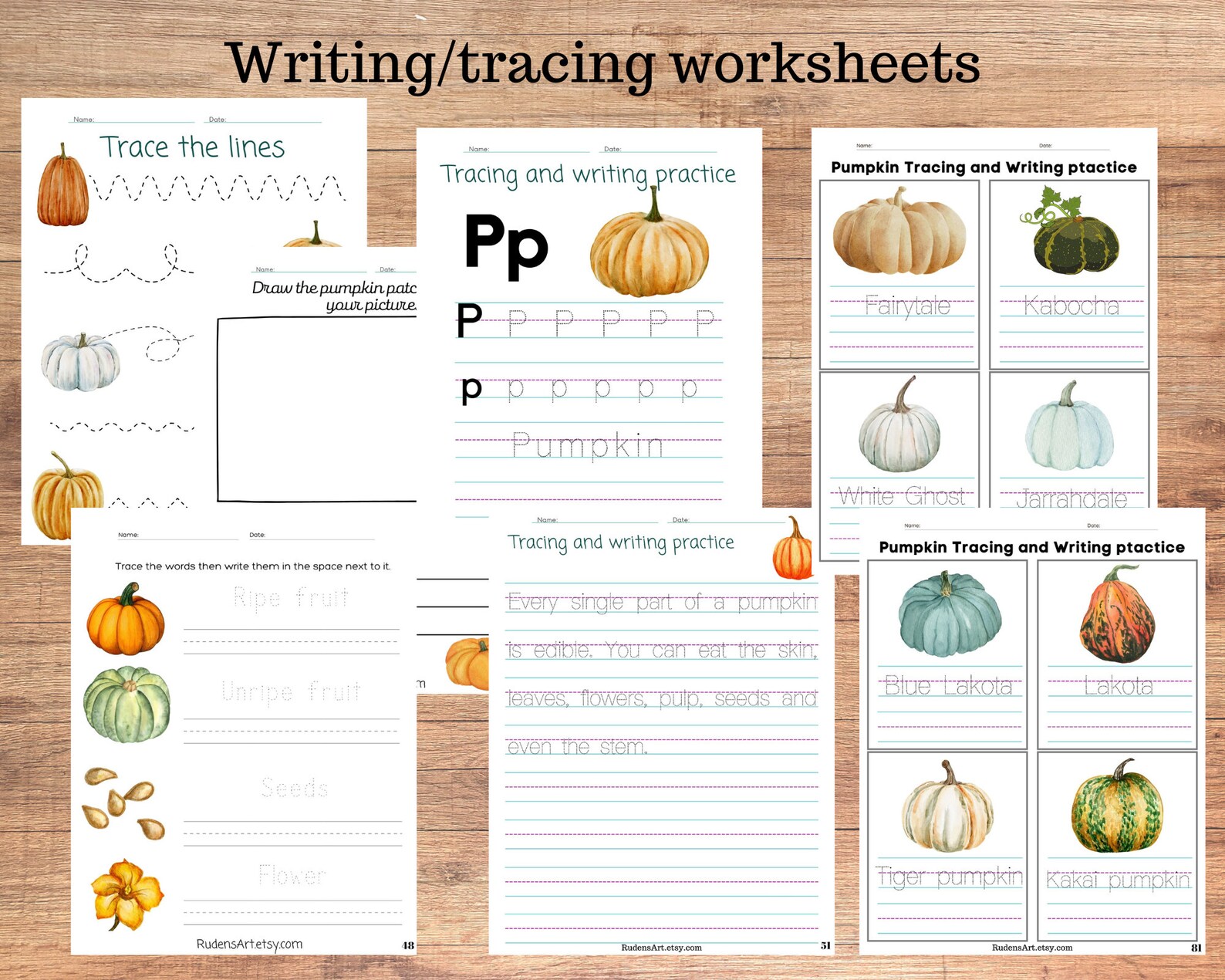 Pumpkin Unit Study Pumpkin Anatomy and Life Cycle Pumpkin - Etsy