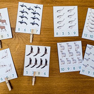 Arctic Animals Worksheets, Winter Preschool Worksheets for Kids ...