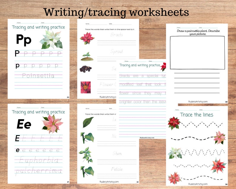 Poinsettia Unit Study Poinsettia Anatomy and Life Cycle - Etsy