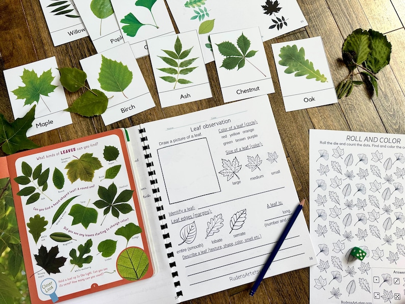 Leaves Unit Study, Leaf Anatomy, Three-part Cards, Montessori Materials ...