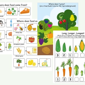 Food Busy Book for Kindergarten and Toddler Kids, Food Theme Learning ...