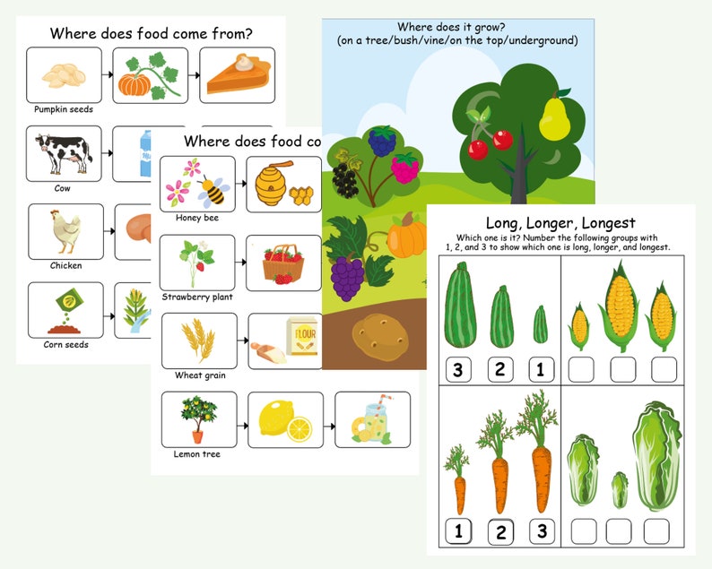 Food Busy Book for Kindergarten and Toddler Kids, Food Theme Learning ...