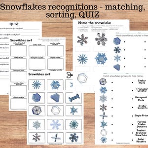 Snow Unit Study, Snowflake Anatomy, Snow Life Cycle, Snowflakes Three ...