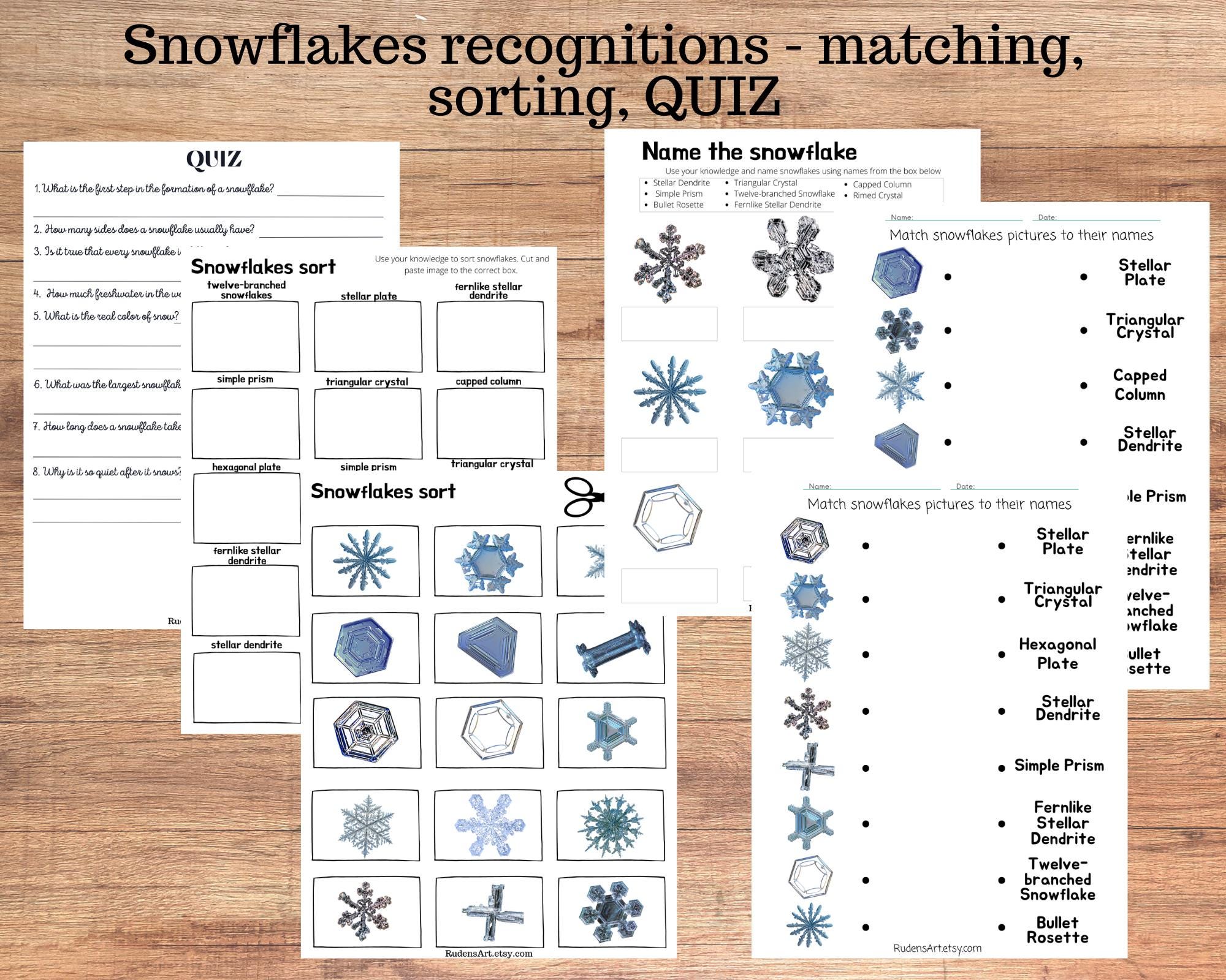 Snow Unit Study, Snowflake Anatomy, Snow Life Cycle, Snowflakes Three ...