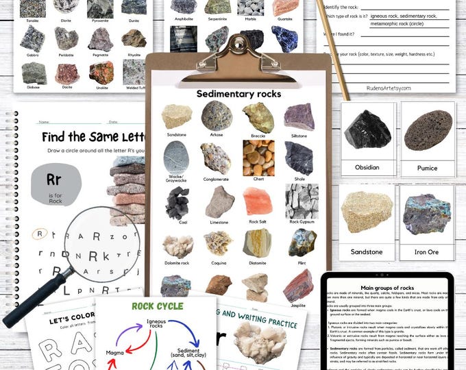 Poinsettia Unit Study, Poinsettia Anatomy and Life Cycle, Poinsettia ...