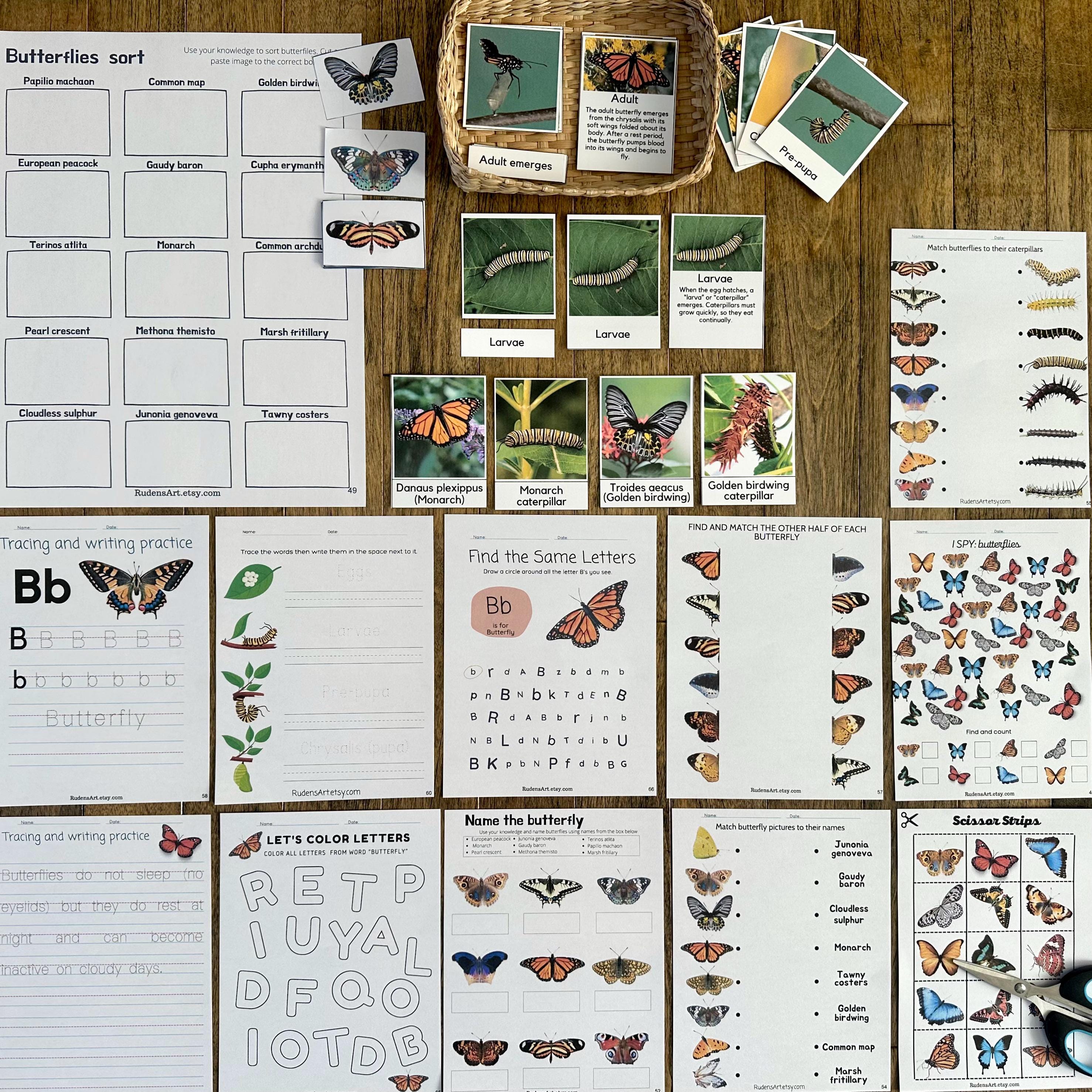 Butterfly Unit Study, Butterfly Anatomy, Life Cycle, Species ...