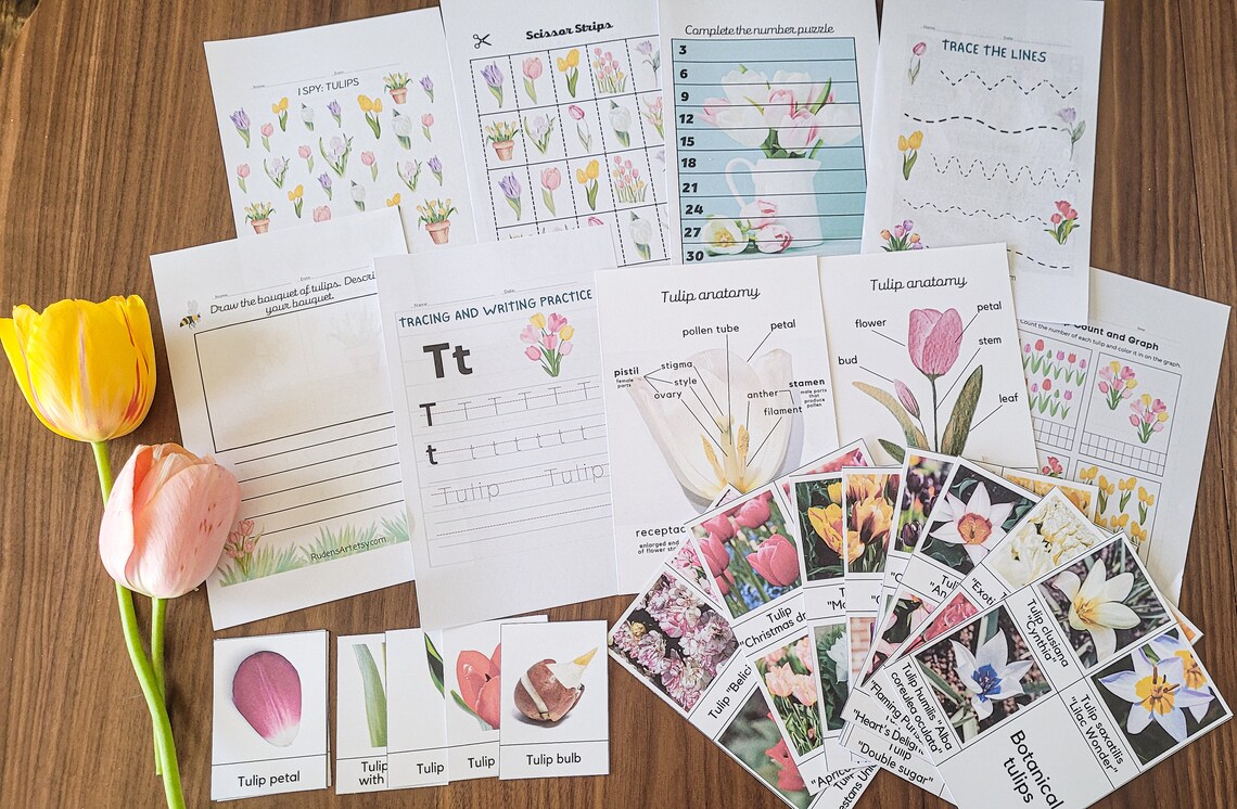 Tulip Anatomy Mini Study Tulip Learning Pack Tulips - Etsy