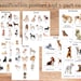 Dogs Unit Study Dog Anatomy and Dog Breeds Three-part Cards - Etsy