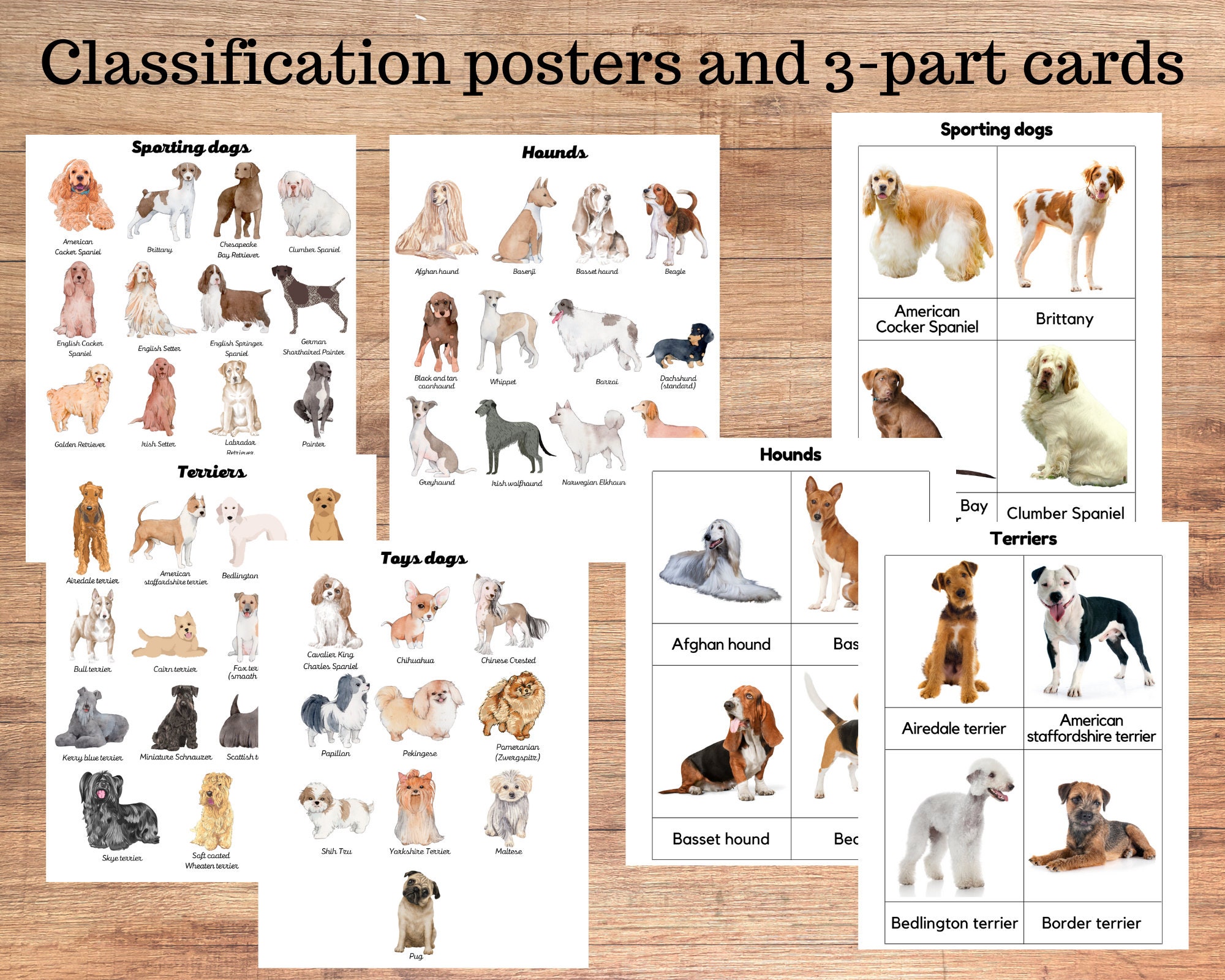 Dogs Unit Study Dog Anatomy and Dog Breeds Three-part Cards - Etsy